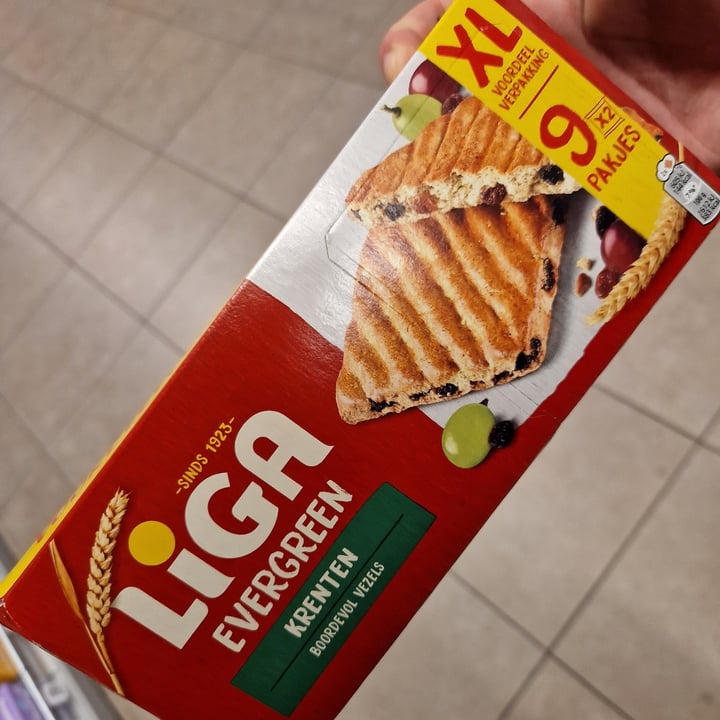 Liga Evergreen Krenten Review | abillion