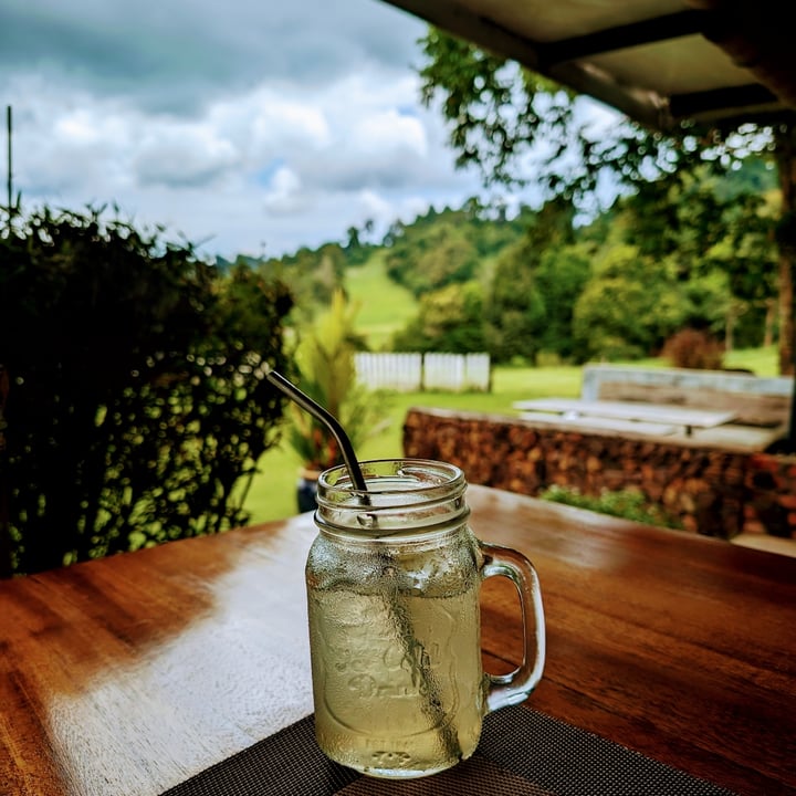 The Fat Frog Mk Ulu Melaka, Langkawi, Malaysia Homemade Lemonade Review ...