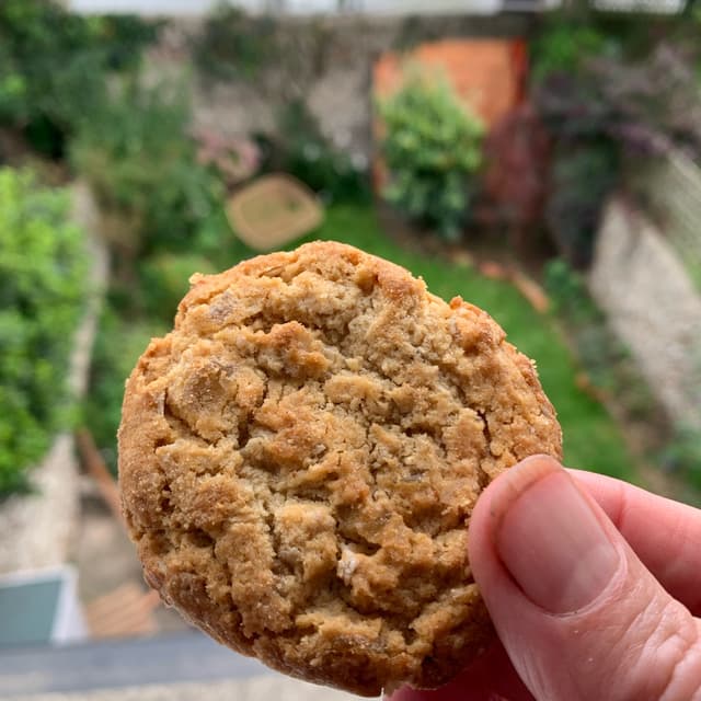 Stem Ginger Cookies from Tesco Free From - Vegan Product Reviews ...
