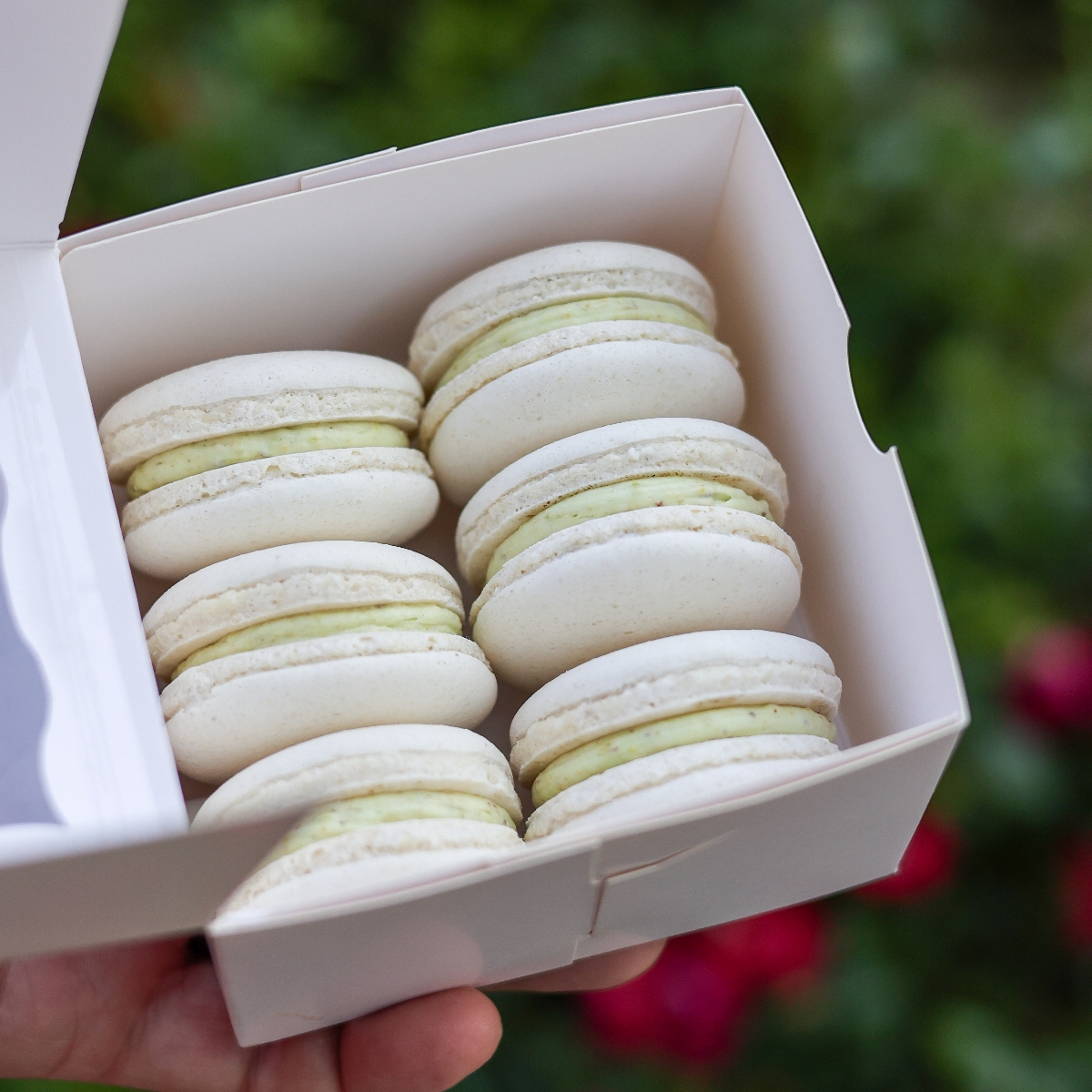 Pistachio Macarons from 108 Delectable Delights - Vegan Product Reviews ...