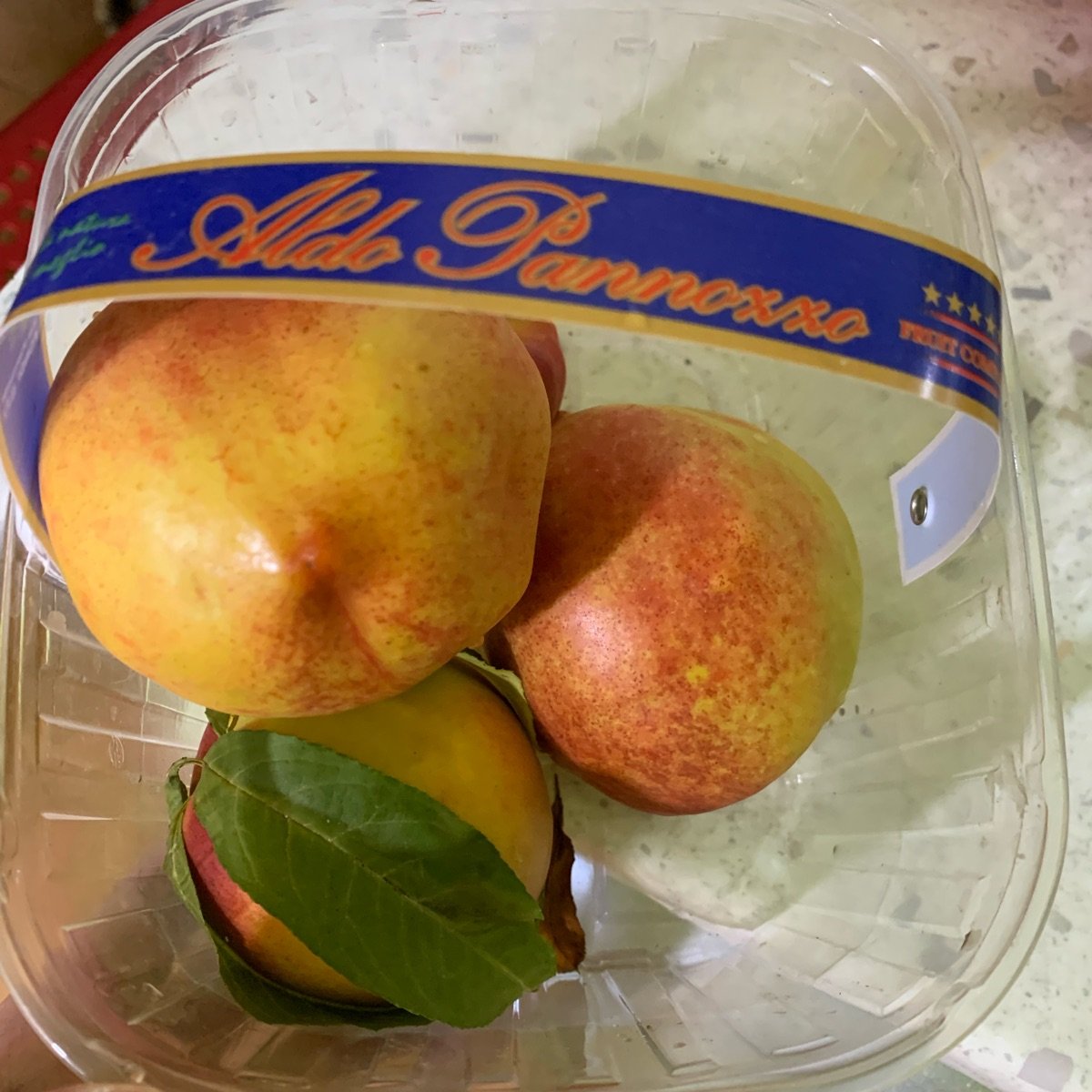 Also pannozzo peschenoci Reviews | abillion