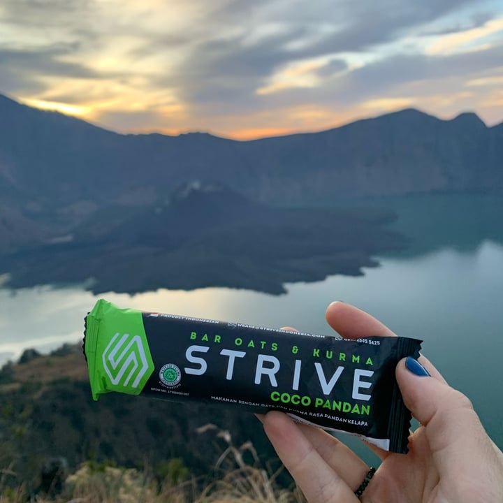 Strive Coco Pandan Review | abillion