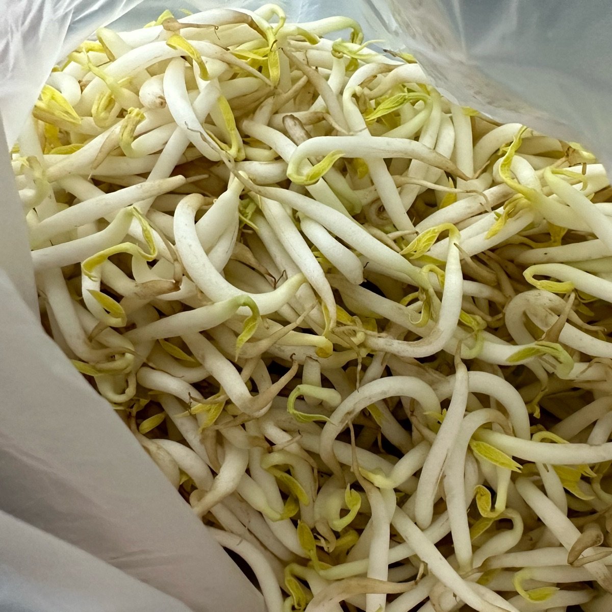 Bean Sprouts from Prime supermarket - Vegan Product Reviews & Ratings ...