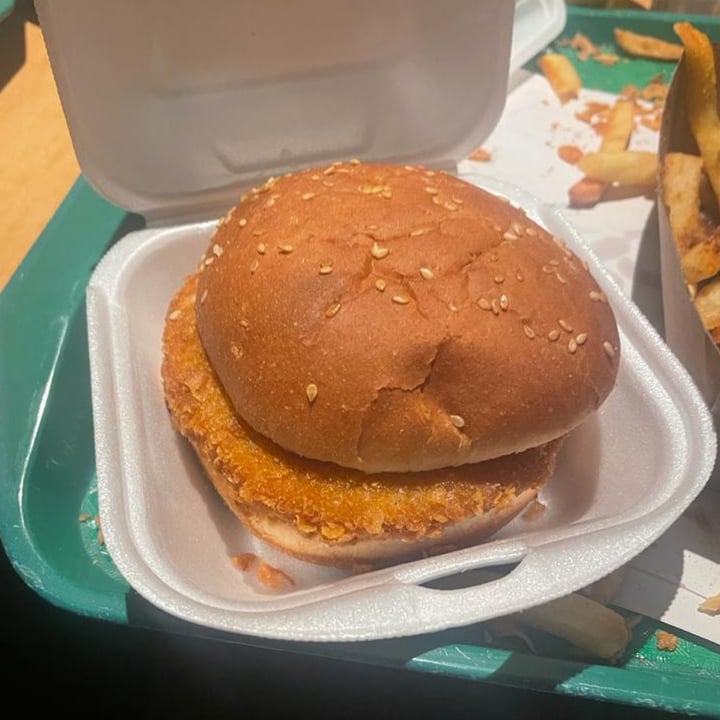 Frituur 't Hoekske Wetteren, Belgium Veggie Bicky Burger 🍔 Review ...