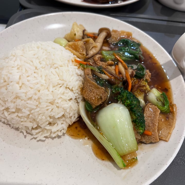 Green Bliss Habitat Singapore Fish & Ginger Rice Review | abillion