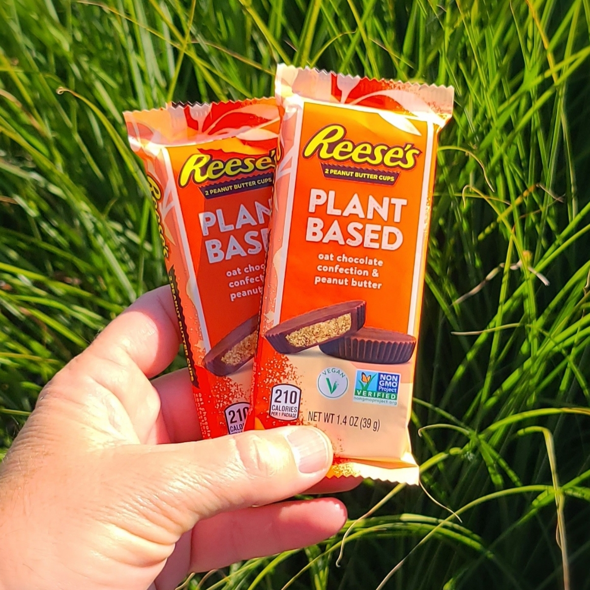 Plant Based Peanut Butter Cups from Reese's - Vegan Product Reviews ...