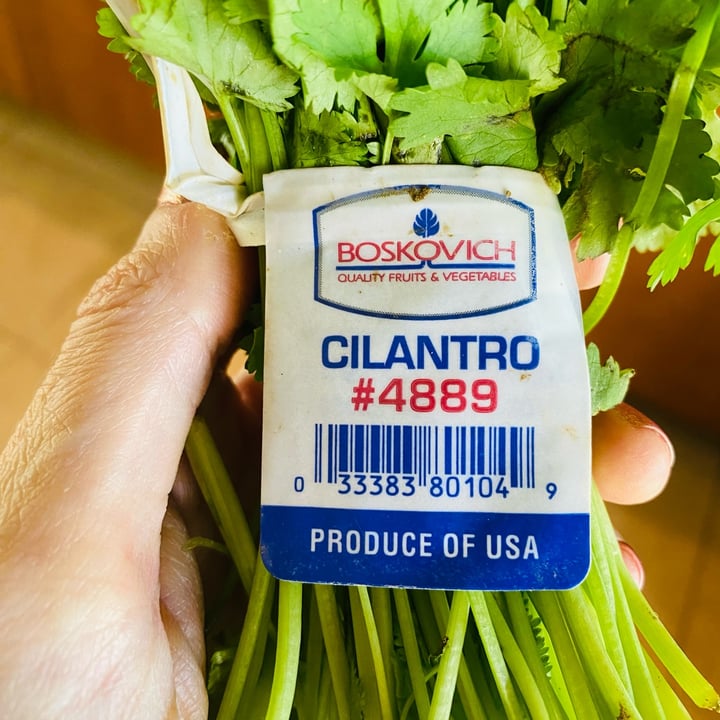 Boskovich Cilantro Review | abillion