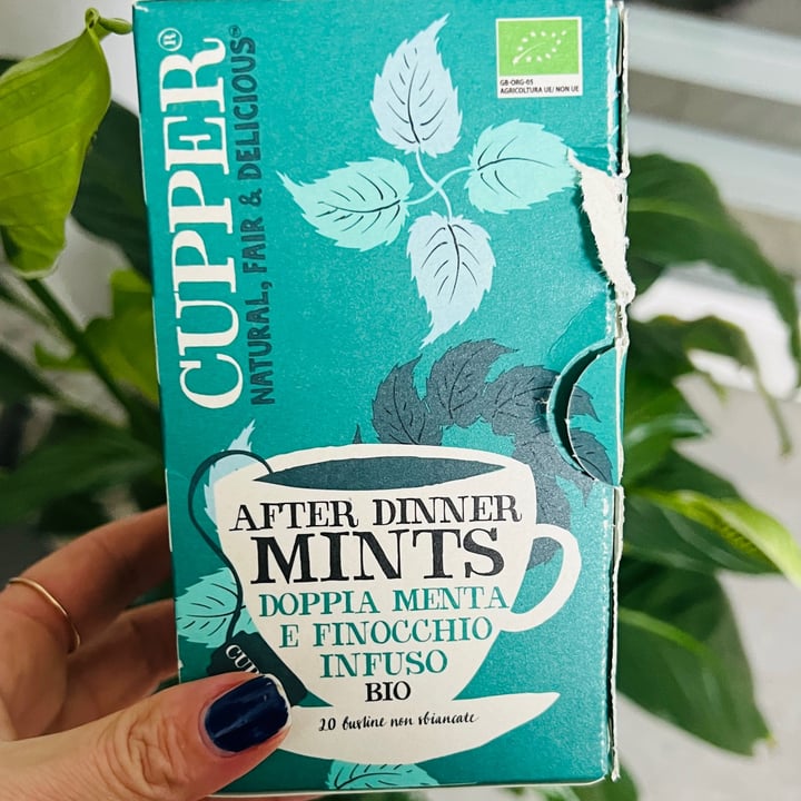 Cupper After dinner mints Review | abillion