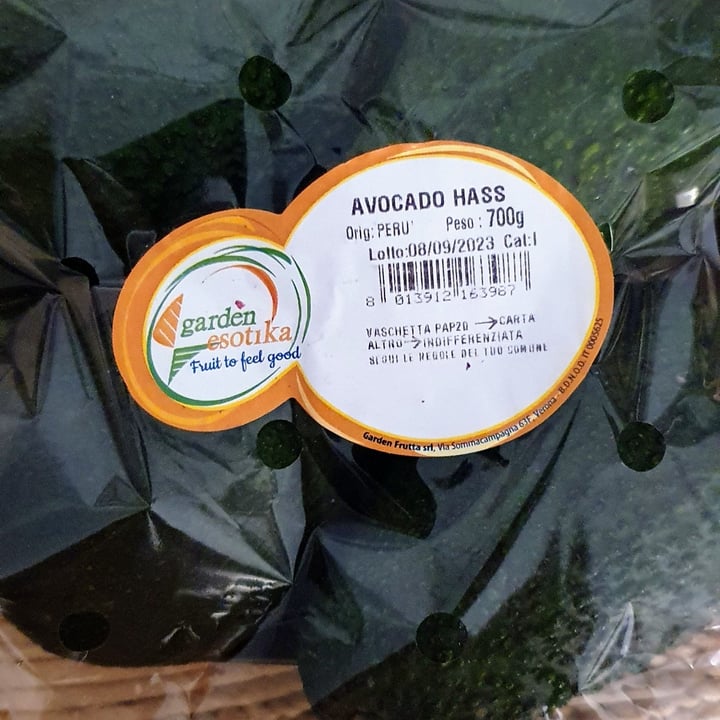 Hass Avocado Review | abillion