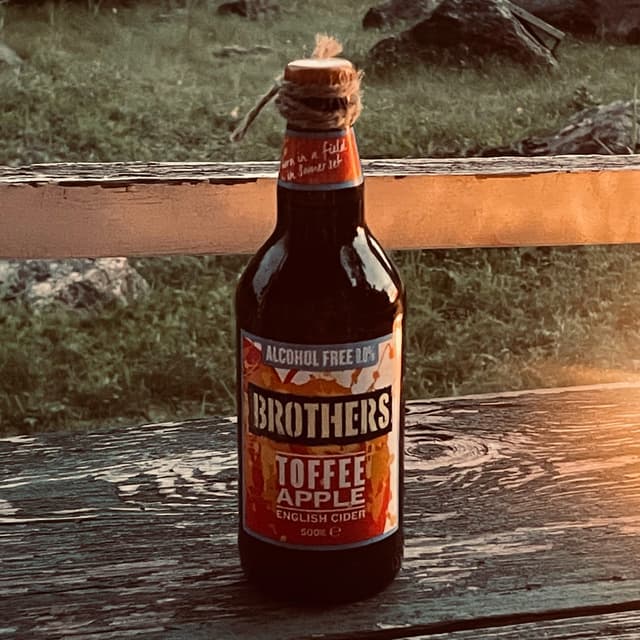 Alcohol Free Toffee Apple Cider from Brothers - Vegan Product Reviews ...