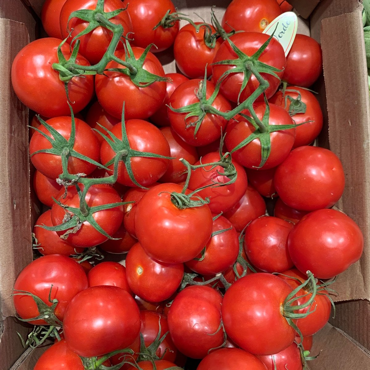 Fonte Verde Tomate Rama Reviews | abillion