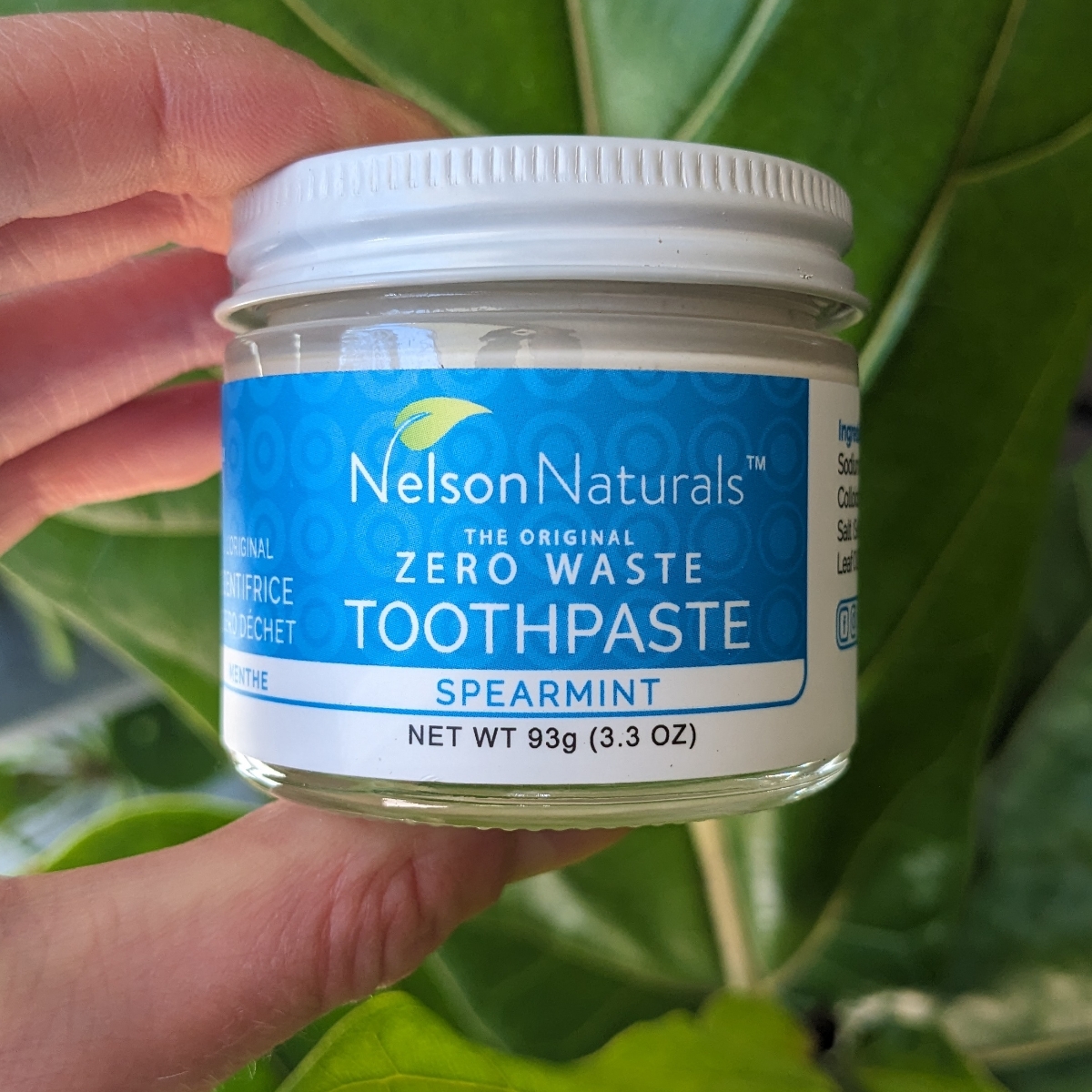 Nelson Naturals Spearmint No Waste Toothpaste Reviews | abillion