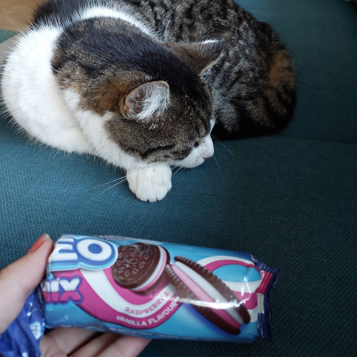 Remix (Raspberry & Vanilla) from Oreo - Vegan Product Reviews & Ratings ...