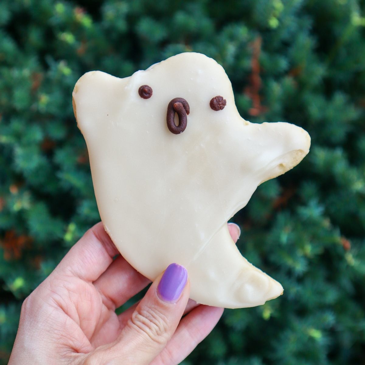 Ghost Sugar Cookie Reviews | abillion