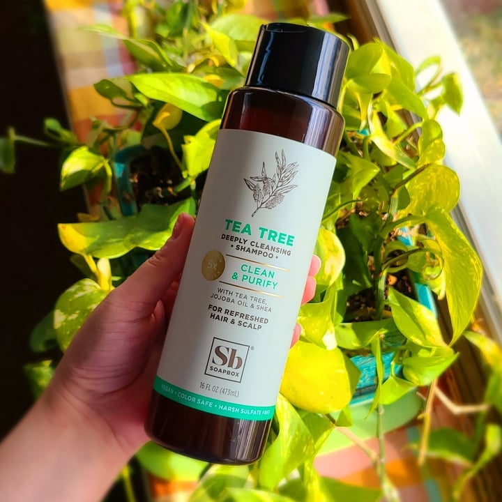 Sb soapbox Tea Tree Clean & Purify Shampoo Review | abillion