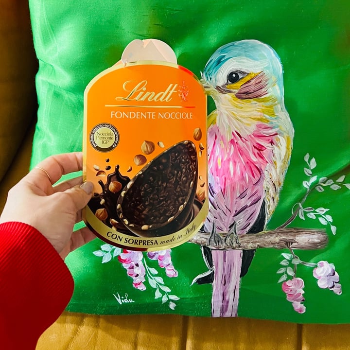 Lindt fondente nocciole Review | abillion