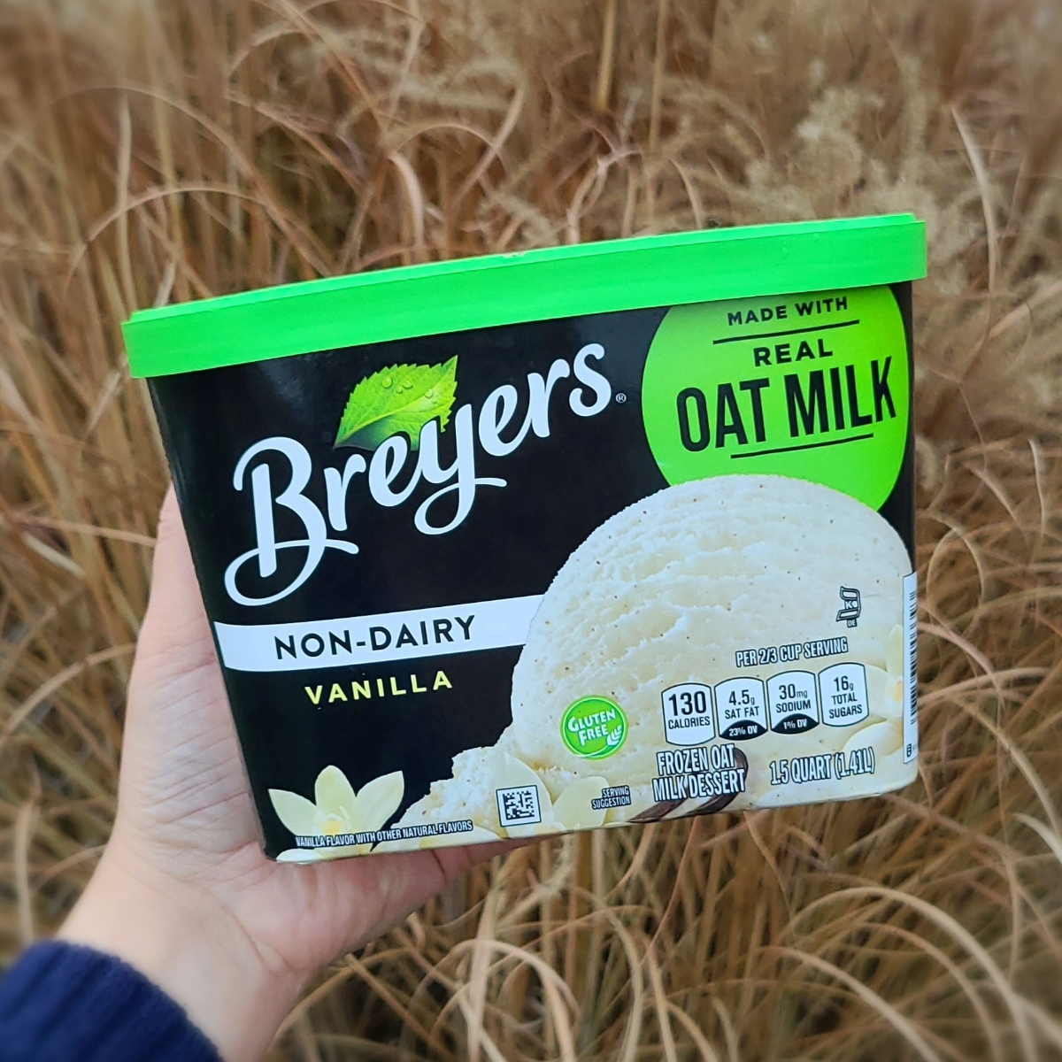 Vanilla Oat Milk Non Dairy Dessert from Breyers - Vegan Product Reviews & Ratings | abillion