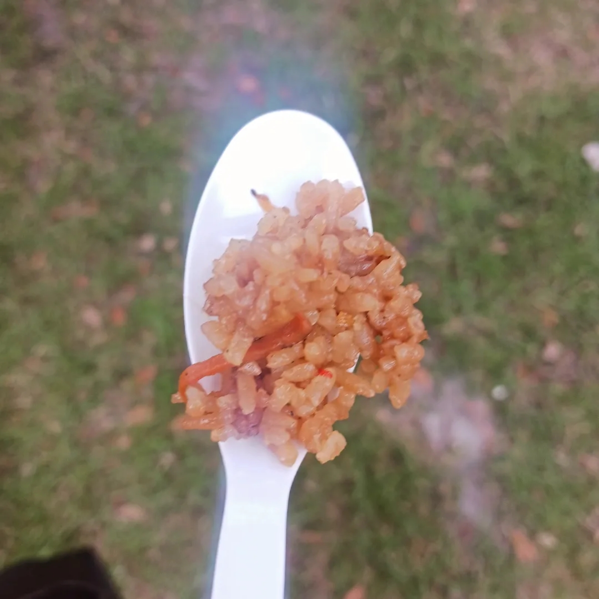 Fried Rice from Garden to Table - Vegan Product Reviews & Ratings ...