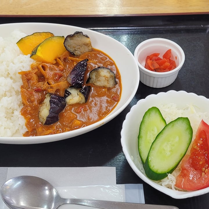 Kohan-so Hakone, Japan Spicy Vegetable Curry Review | abillion