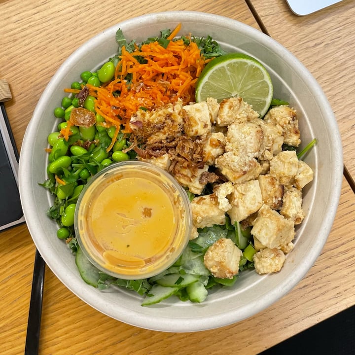 atis Hoxton, United Kingdom Crunchy Raw Thai + Miso Tofu Review | abillion