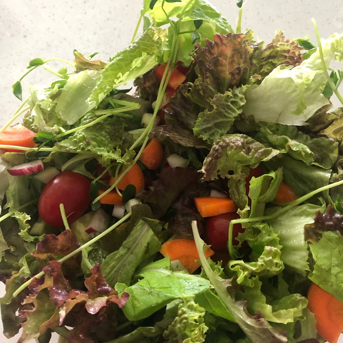 Organic Salad Mix from Villeneuve Family Farm - Vegan Product Reviews ...