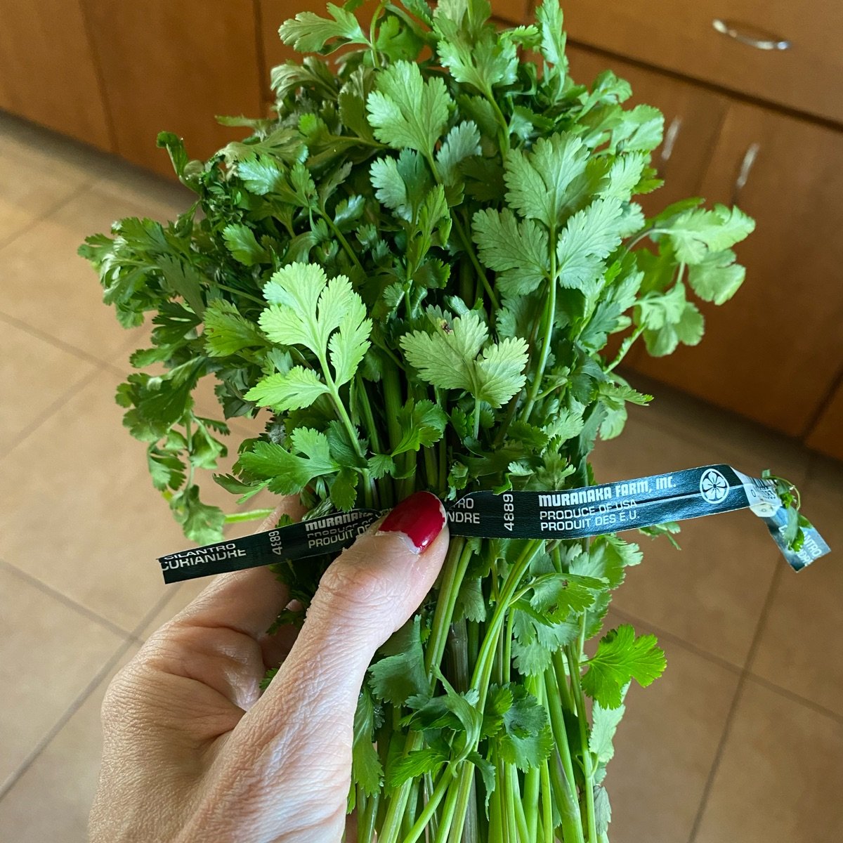 muranaka farm Organic Cilantro Reviews | abillion