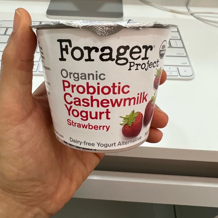 Forager Project organic probiotic cashewmilk yogurt strawberry Review ...