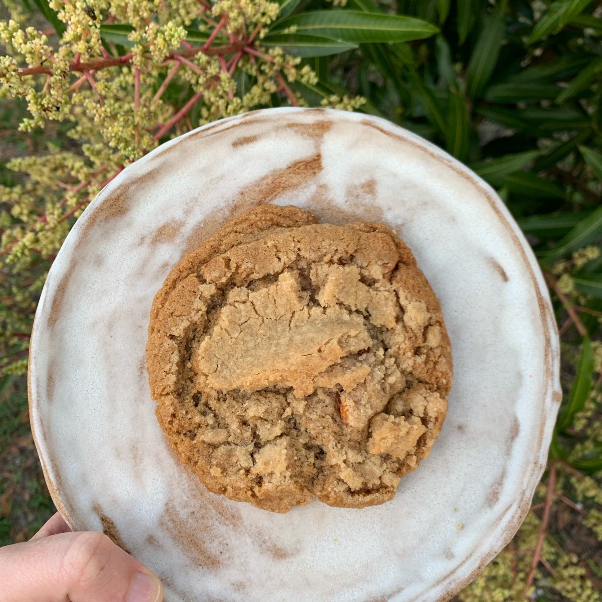 Maya's Cookies The Chart Topper - Peach Cobbler Cookie Reviews | abillion