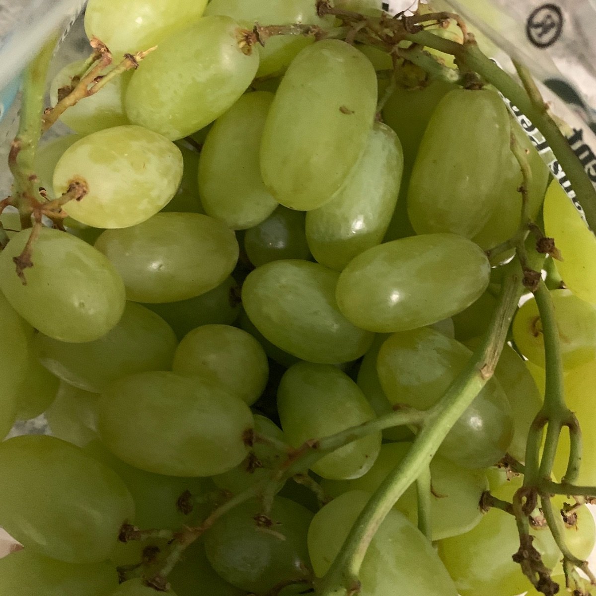 Yummy crunch green grapes from Giumarra vineyards - Vegan Product ...