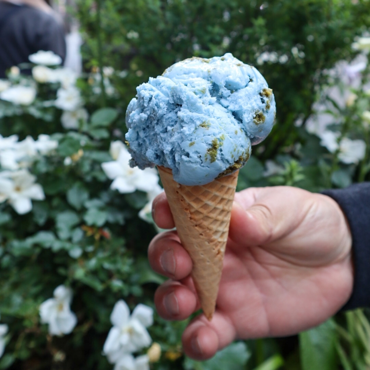 Planet Earth at Van Leeuwen Ice Cream, New York - Vegan Dish Reviews ...