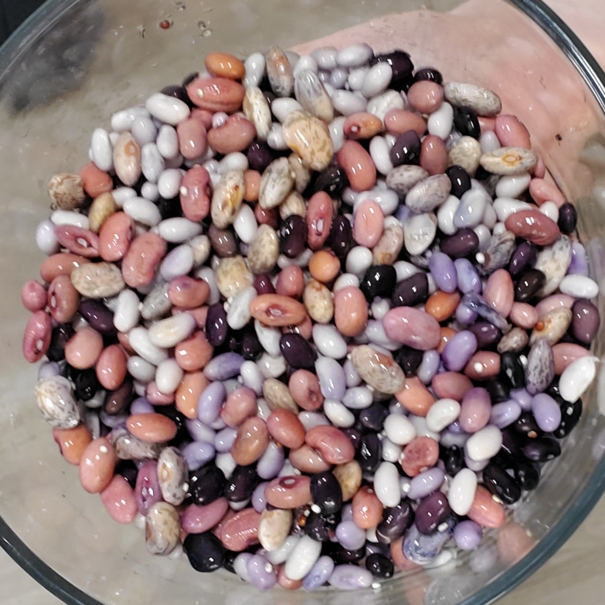 organic black turtle beans from Natural Grocers - Vegan Product Reviews ...