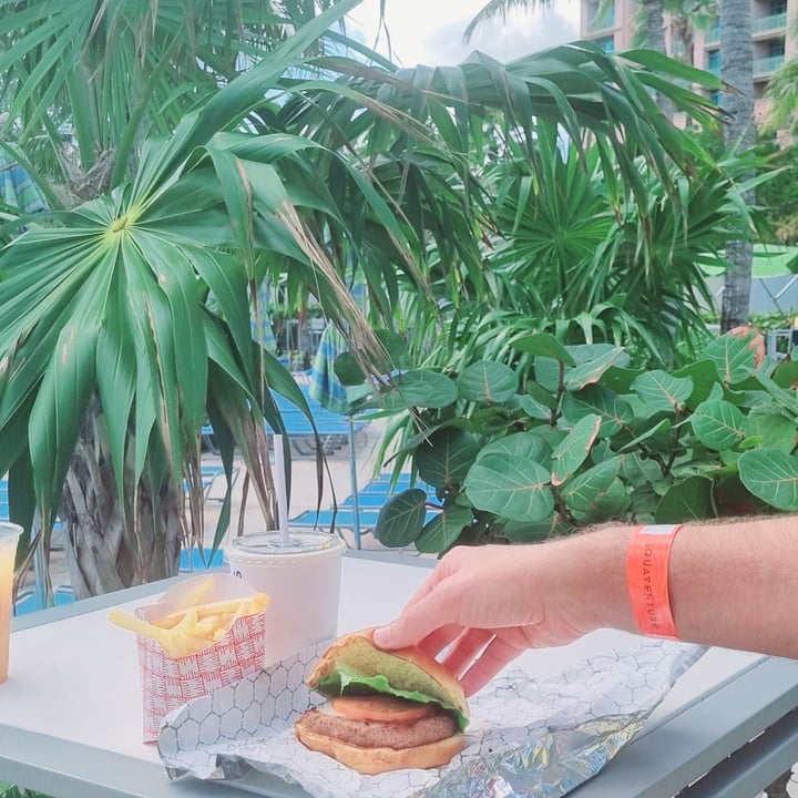 Breakwaters Grill Nassau, The Bahamas Beyond burger 🍔🍟 Review | abillion