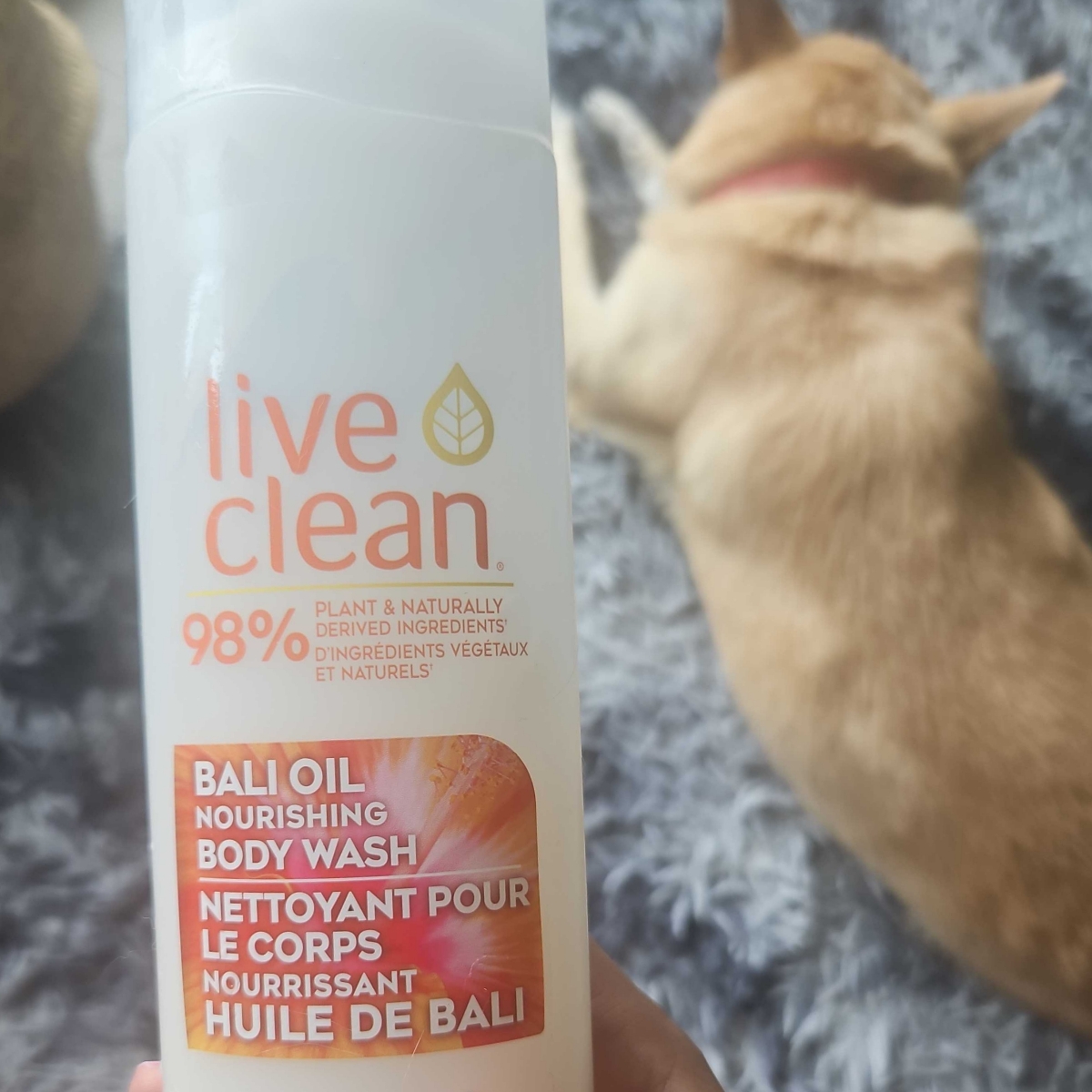 Bali Oil Body Wash from Live Clean - Vegan Product Reviews & Ratings ...
