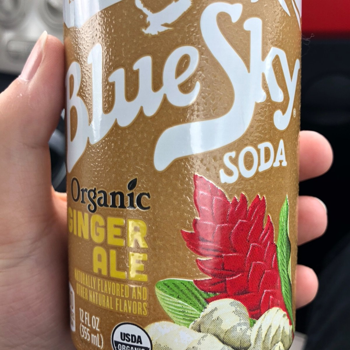 Ginger Ale from Blue Sky Beverage Co - Vegan Product Reviews & Ratings ...