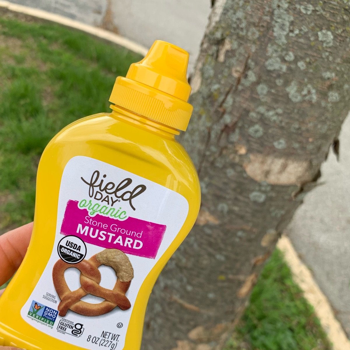 Stone Ground Mustard from Field Day Organic - Vegan Product Reviews ...