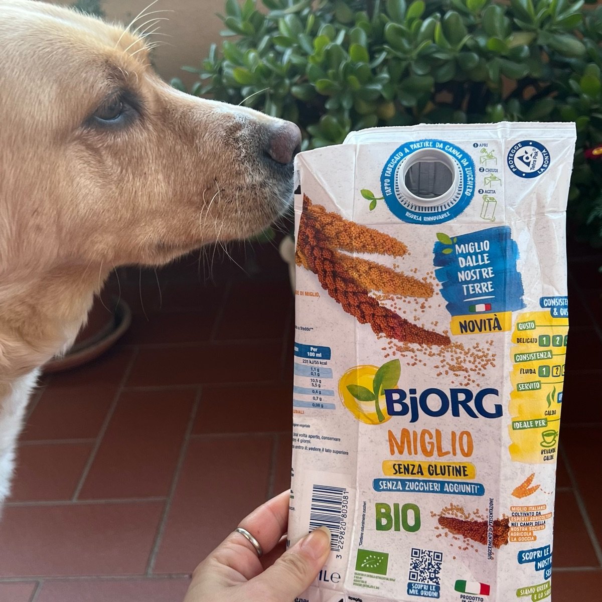 Bevanda miglio bio from Bjorg - Vegan Product Reviews & Ratings | abillion