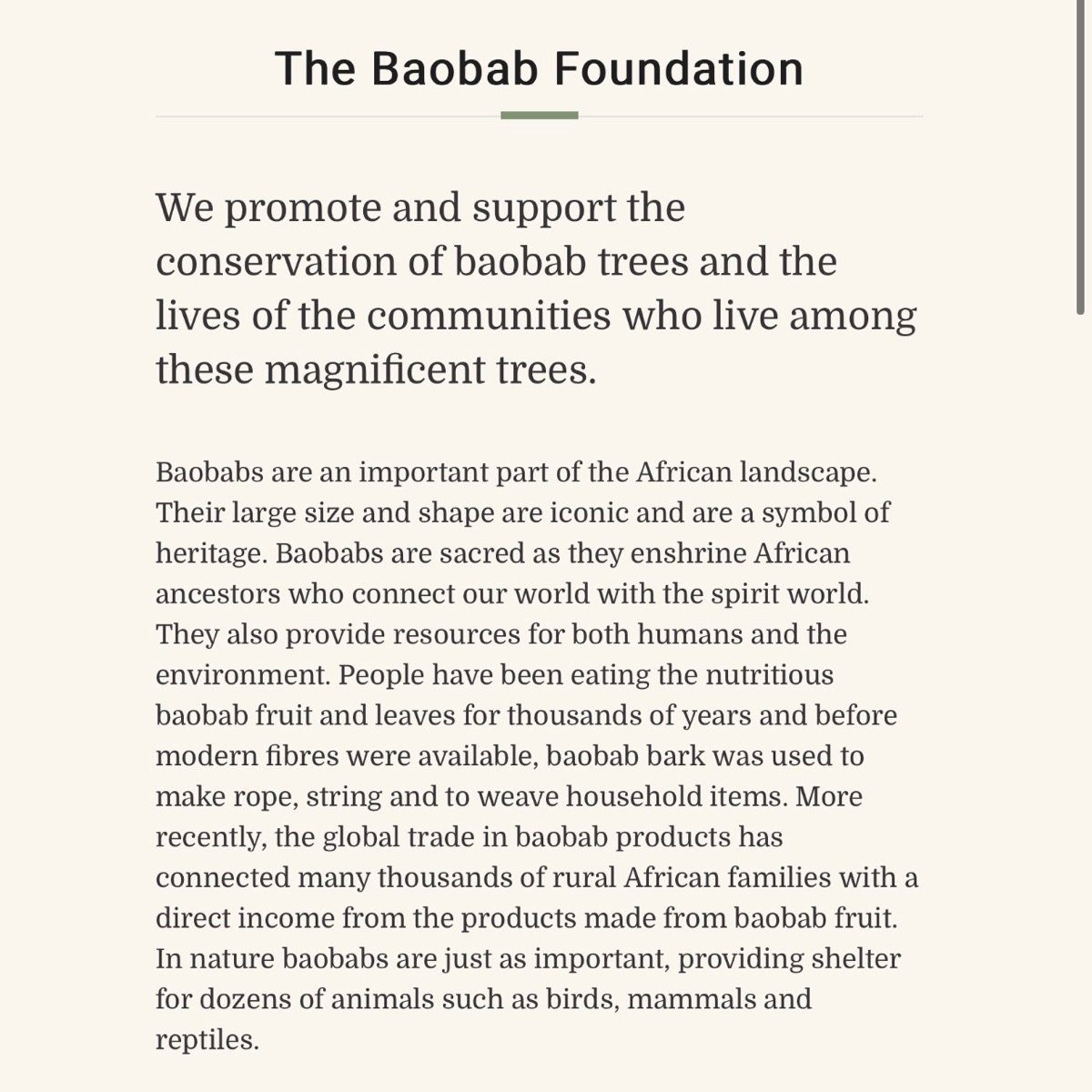 Renewing Baobab Body Cream from IWORI (Beauty of Africa) - Vegan ...