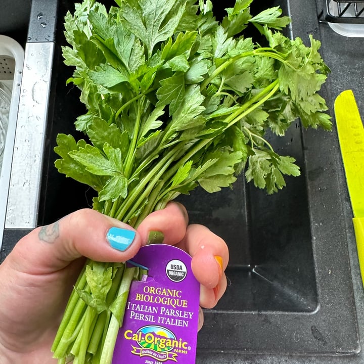 Cal-Organic Organic Italian Parsley Review | abillion