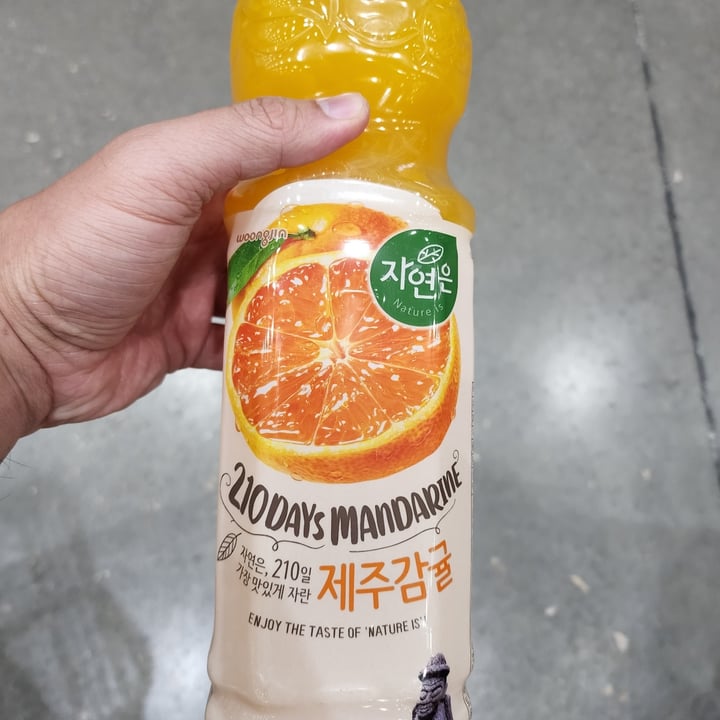 Woongjin Foods 210 Days Mandarine Review | abillion