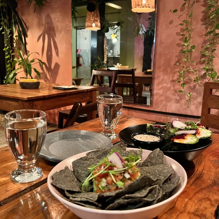 Laylo Tulum Vegan Lounge Tulum Centro, Tulum, Mexico veggie burger ...