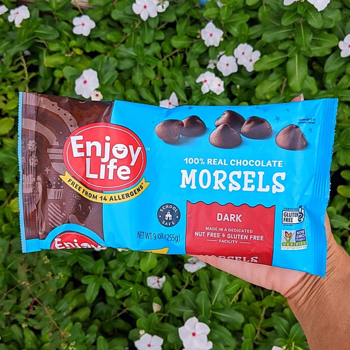100% Real Chocolate Morsels from Enjoy Life - Vegan Product Reviews ...