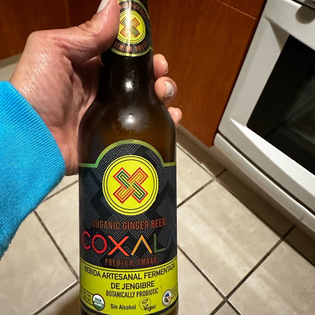 BEBIDA ARTESANAL FERMENTADA DE JENGIBRE from Coxala - Vegan Product ...