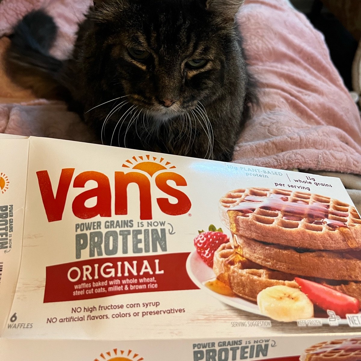 Protein Power Grains, Original from Van’s Foods - Vegan Product Reviews ...