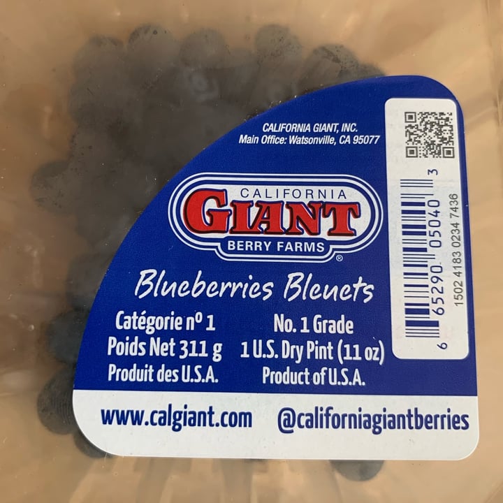 California Giant Berry Farms Blueberries Review | abillion