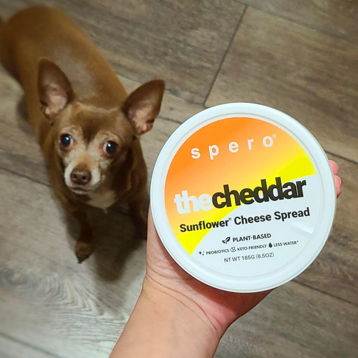 The Cheddar from Spero Foods - Vegan Product Reviews & Ratings | abillion