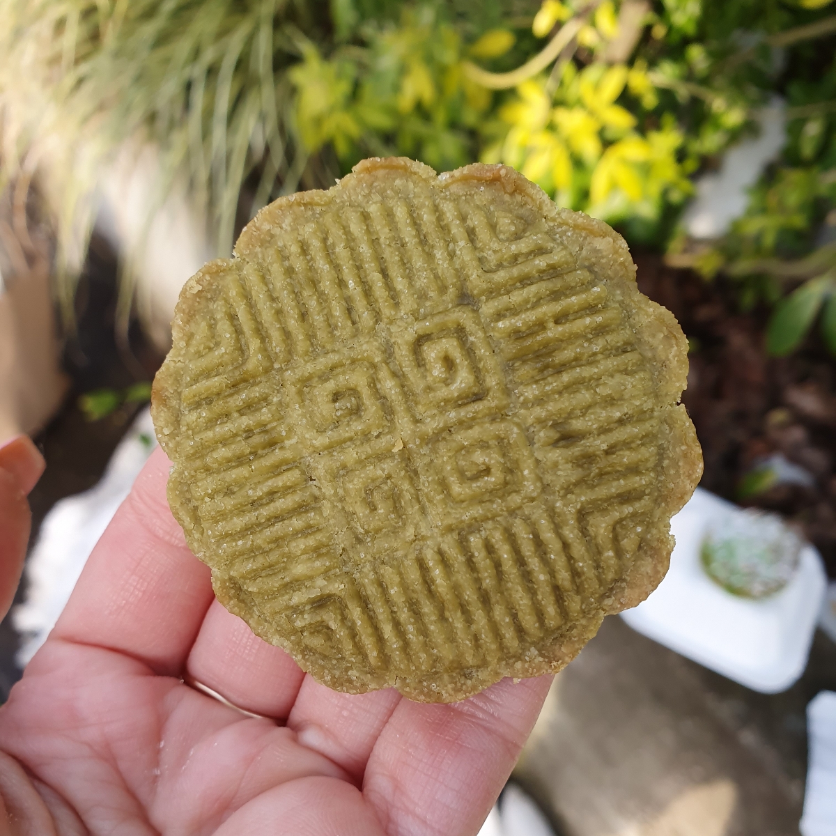 Matcha Shortbread at Mama Dut, Portland - Vegan Dish Reviews & Ratings ...