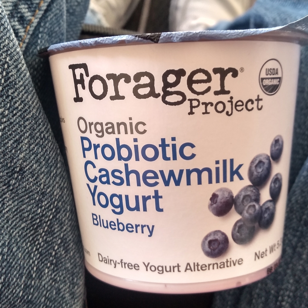 Organic Probiotic Cashewmilk Yogurt Blueberry from Forager Project ...