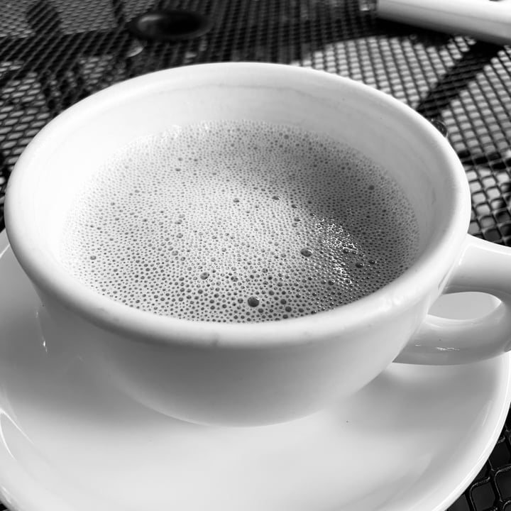 Runcible Spoon Bloomington, United States Soy Cappuccino Review | abillion