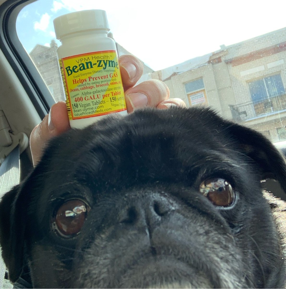 Bean-zyme from VPM Health - Vegan Product Reviews & Ratings | abillion