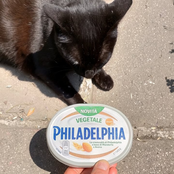 Philadelphia Philadelphia Vegetale Review | abillion